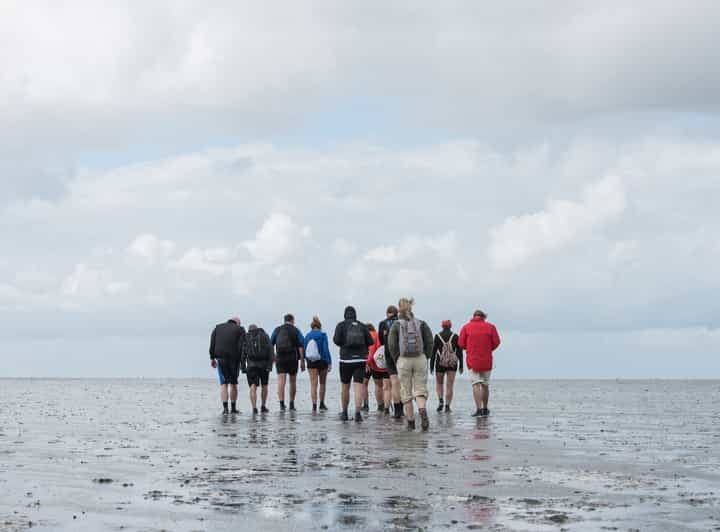 Pieterburen: Wadden Sea Mudflats Guided Walking Tour - Final Thoughts