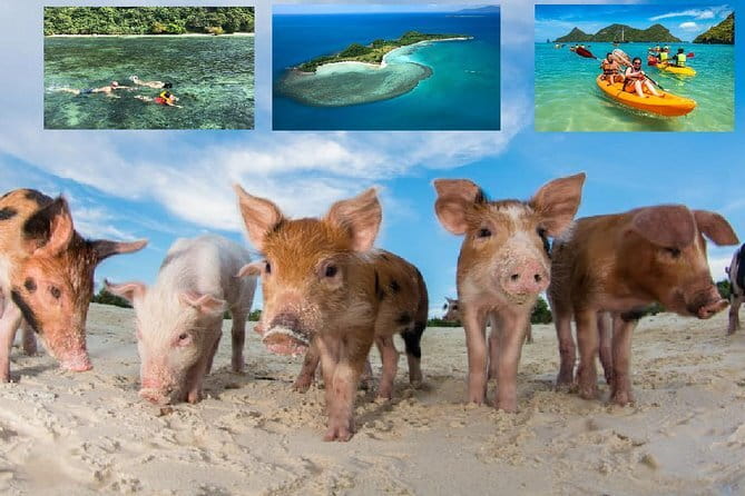 Pig Island Experience By Speed Boat, Snorkeling, Kayaking Relaxing on the Beach - Key Points