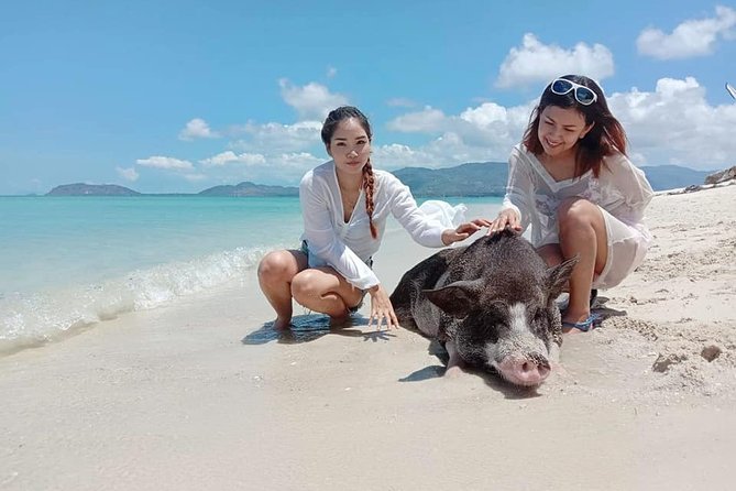 Pig Island Snorkeling & Sightseeing Tour By Speedboat From Koh Samui - Practical Tips for Travelers