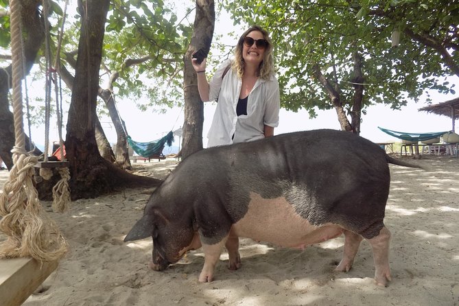 Pig Island Snorkeling & Sightseeing Tour By Speedboat From Koh Samui - Final Thoughts: Who Will Enjoy This Tour?