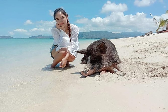 Pig Island Snorkeling & Sightseeing Tour By Speedboat From Koh Samui - Frequently Asked Questions
