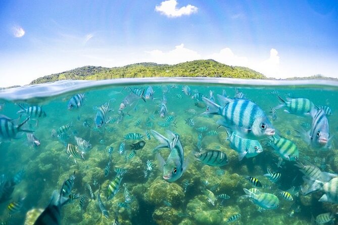 Pig Island Tour by Speedboat with Snorkeling - Final Thoughts