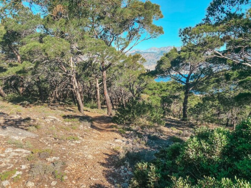 Pigadia: Agia Kyriaki Guided Hike with Coffee/Tea and Raki - Frequently Asked Questions (FAQs)