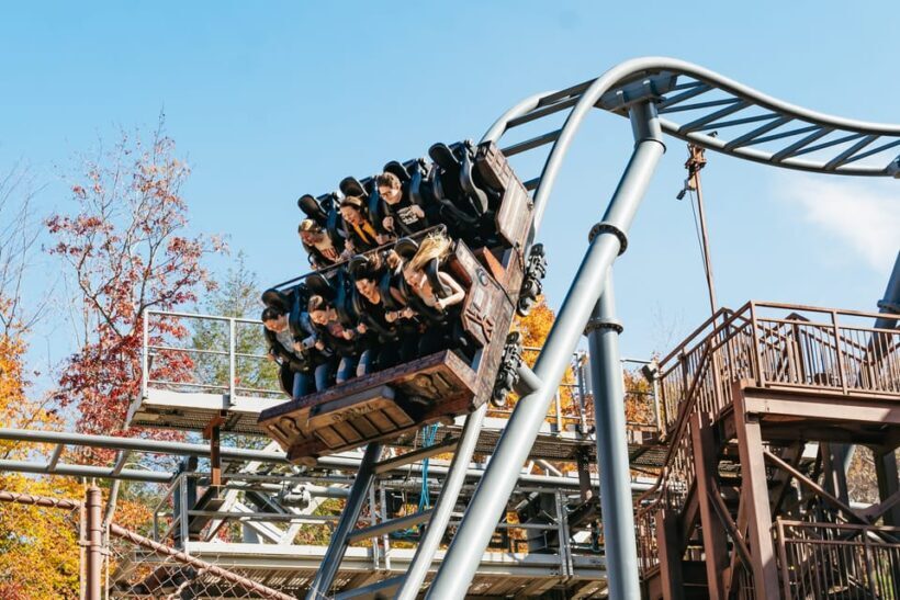 Pigeon Forge: Dollywood & Splash Country Combo Ticket - Authentic Feedback and Real Experiences