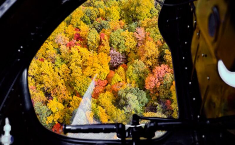 Pigeon Forge: Helicopter Tour of Gatllinburg - Who Should Consider This Tour?