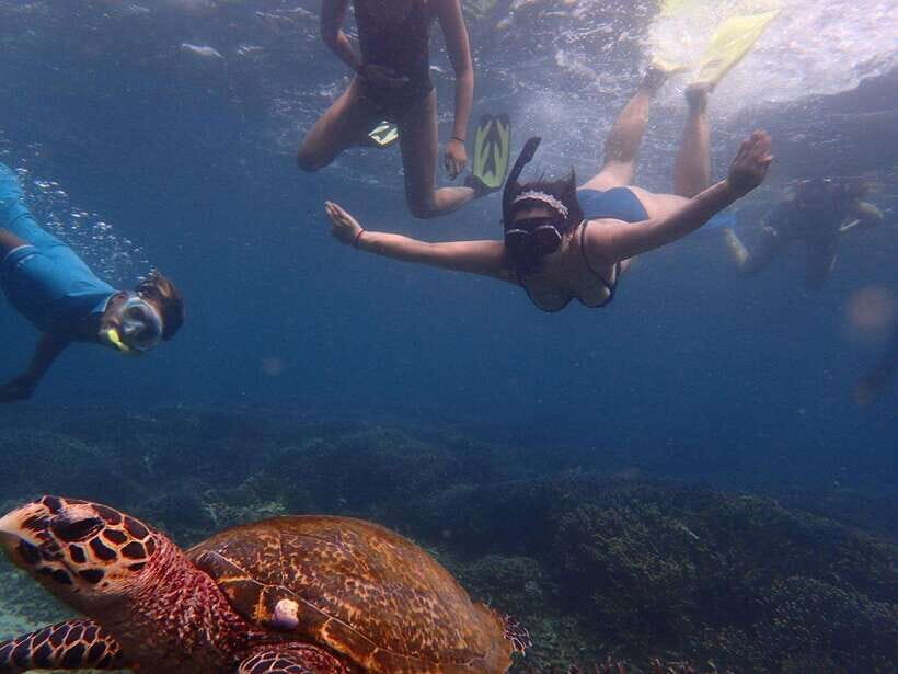 Pigeon Island Snorkeling Tour from Uppuveli Beach - An Underwater Paradise Near Trincomalee