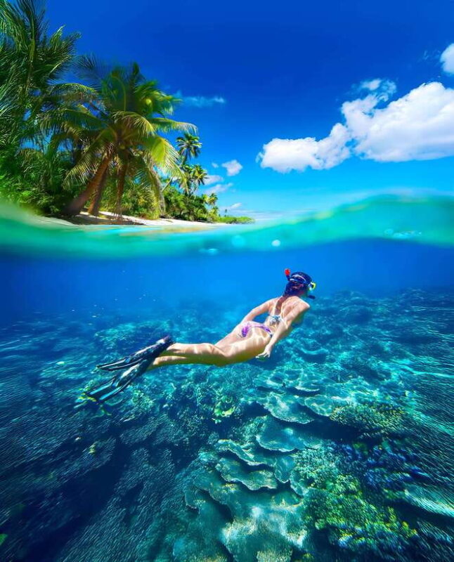 Pigeon Island Snorkeling Tour from Uppuveli Beach - Key Points