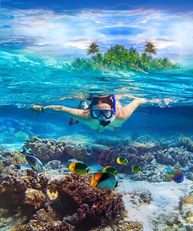 Pigeon Island Snorkeling Tour from Uppuveli Beach - The Itinerary and What Makes It Special