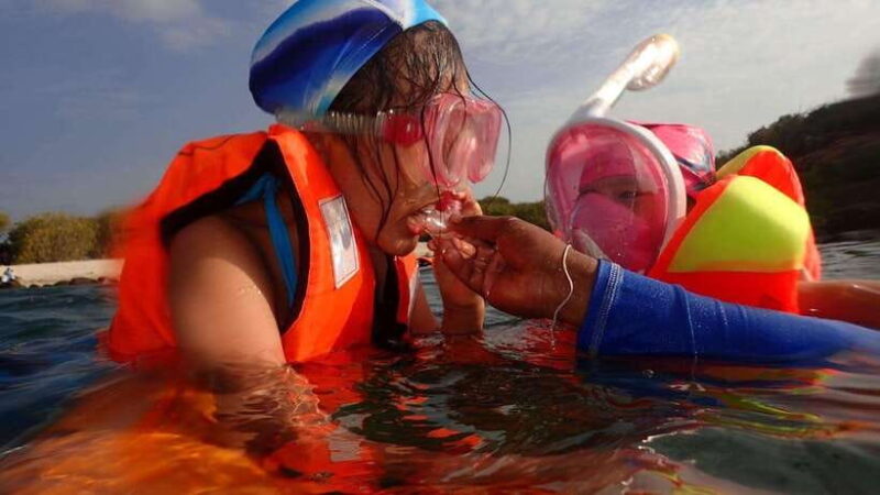 Pigeon Island Snorkeling Tour from Uppuveli Beach - Practical Tips for Travelers