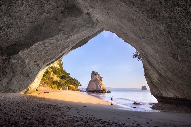 Piha Beach & Wilderness Nature : PRIVATE TOUR 8 hrs - Final Thoughts