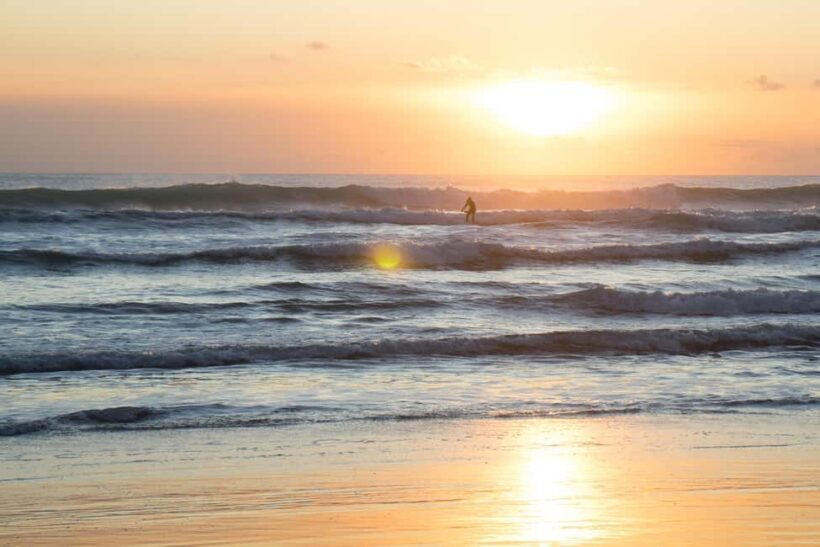 Piha Beach & Wilderness Private Tour: Auckland Half Day Trip - Key Points