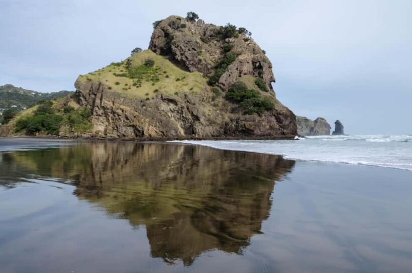 Piha Beach & Wilderness Private Tour: Auckland Half Day Trip - What Makes It Stand Out?