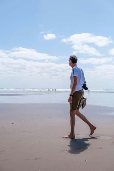 Piha Beach & Wilderness Private Tour: Auckland Half Day Trip - Tour Value and Cost Analysis