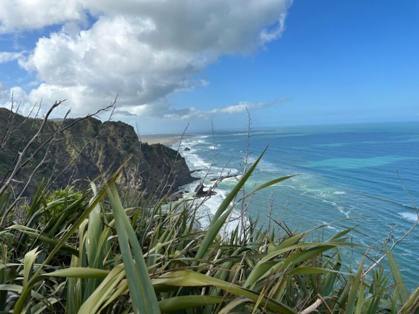 Piha & Karekare - Out of Auckland Private Tour - Who Should Consider This Tour?