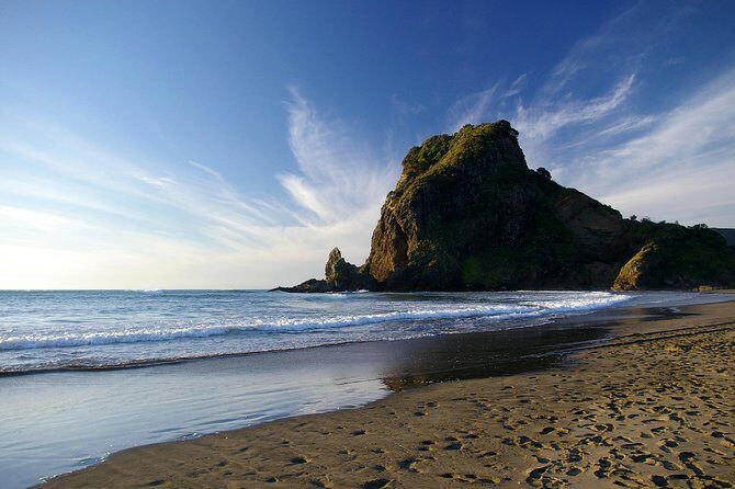 Piha Waitakere Rainforest Wine Tour from Auckland - A Close Look at What This Tour Offers