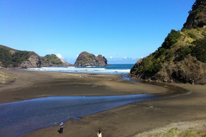 Piha Waitakere Rainforest Wine Tour from Auckland - Possible Considerations