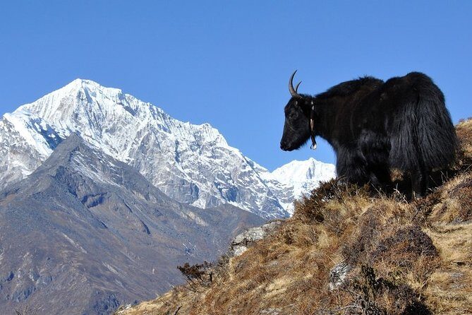 Pikey Peak Trek Everest View - The Itinerary in Detail