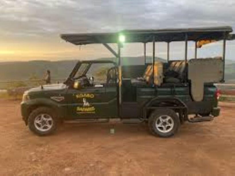 Pilanesberg : Sunrise Morning Game Drive - Who Should Consider This Tour?