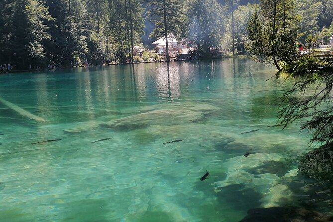 Pilatus Bahn - Who Should Consider This Service?