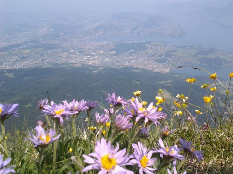 Pilatus: Exclusive Private Golden Round Trip From Zürich - Important Information