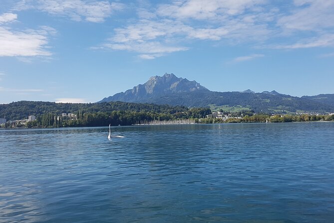 Pilatus Golden Roundtrip: Exclusive Small Group Tour From Luzern - Pricing, Booking, and Cancellation Policies