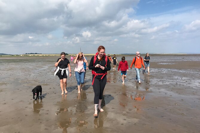 Pilgrims Path Walk Across the Sands to Holy Island - Spotting Wildlife Along the Coastal Journey