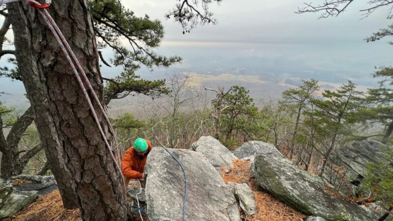 Pilot Mountain, NC: Go Rock Climbing with an AMGA Guide - The Sum Up