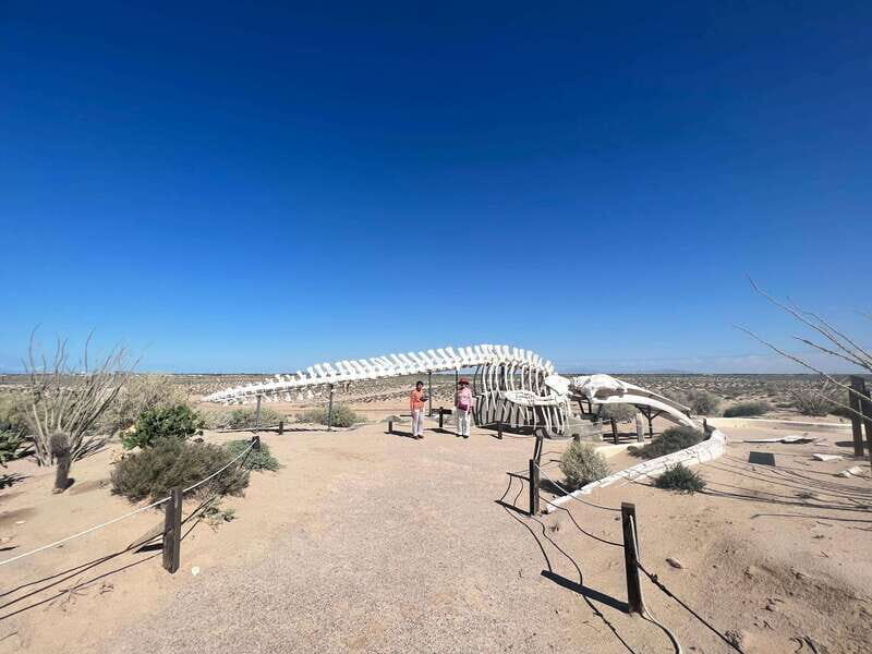 Pinacate: 3-day tour to the craters and surrounding towns - Day 1: Magdalena – A Charming Town with a Rich Atmosphere