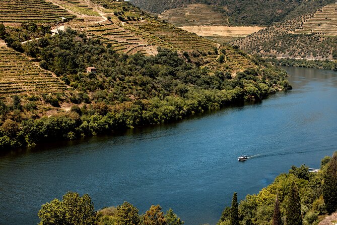 Pinhão: 4 hours Douro River Cruise with Lunch Included - Who Should Consider This Tour?
