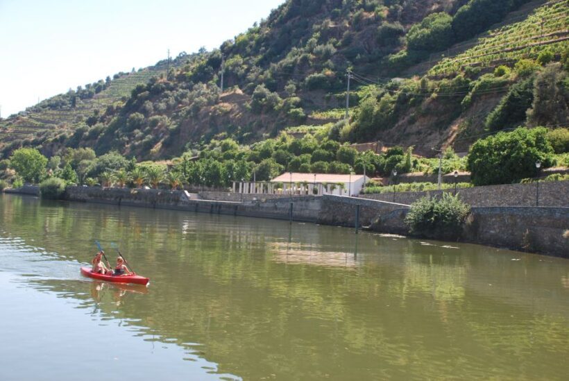 Pinhão: Douro Valley Rabelo Boat Tour and Kayak Experience - What’s Included and What’s Not