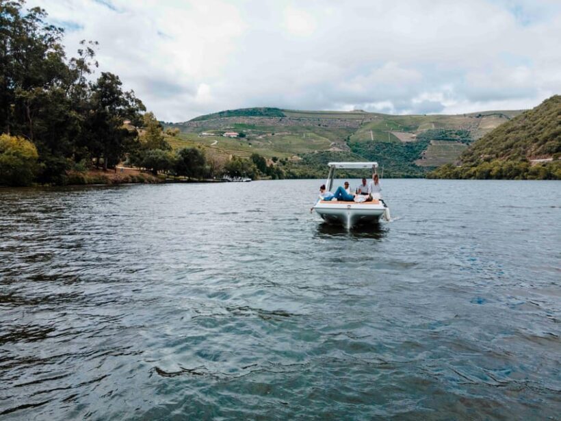 Pinhão: Private Electric Boat Tour 1h- Wine Tasting Included - Who is this tour best suited for?