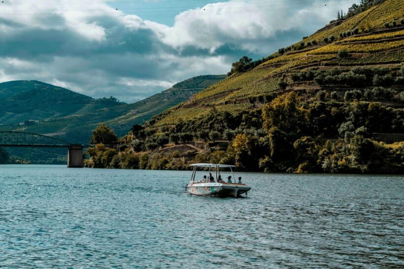 Pinhão: Private Electric Boat Tour 1h- Wine Tasting Included - The Sum Up