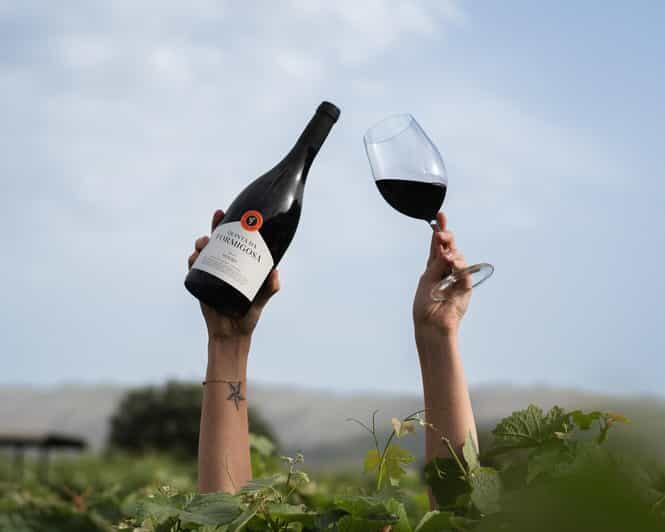 Pinhão: Quinta da Formigosa Vineyard Tour and Wine Tasting - What Makes This Tour Special?