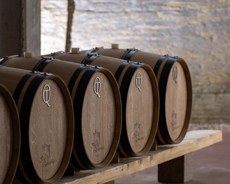 Pinhão: Quinta da Formigosa Vineyard Tour and Wine Tasting - Who Would Love This Tour?