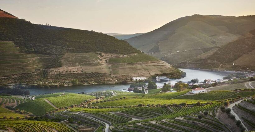 Pinhão: Quinta do Bomfim Visit and Tasting - What to Expect at Quinta do Bomfim