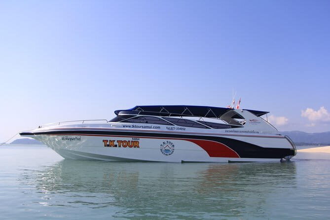 Pink Dolphin and Snorkeling Full Day Experience - What to Expect on the Day
