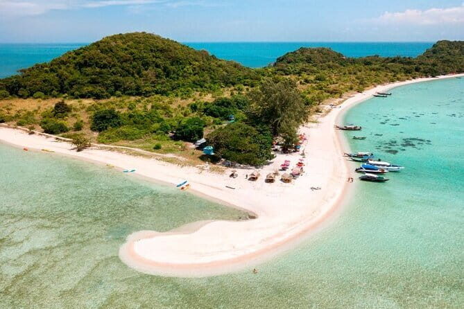 Pink Dolphin and Snorkeling Full Day Experience - Who Will Love This Tour?