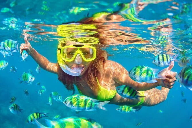 Pink Dolphin and Snorkeling Full Day Experience - Frequently Asked Questions