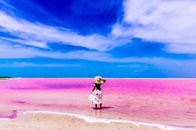 Pink Lake and Flamingo Sightseeing in Rio Lagartos - An In-Depth Look at the Tour Experience