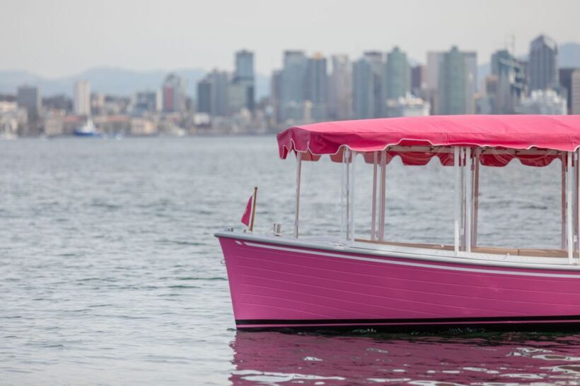 Pink Private Boat Cruise in San Diego! Bachelorette Birthday - The Sum Up