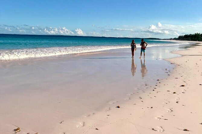 Pink Sand Beach and Swimming Pigs Adventure from Nassau - Detailed Review of the Tour Experience