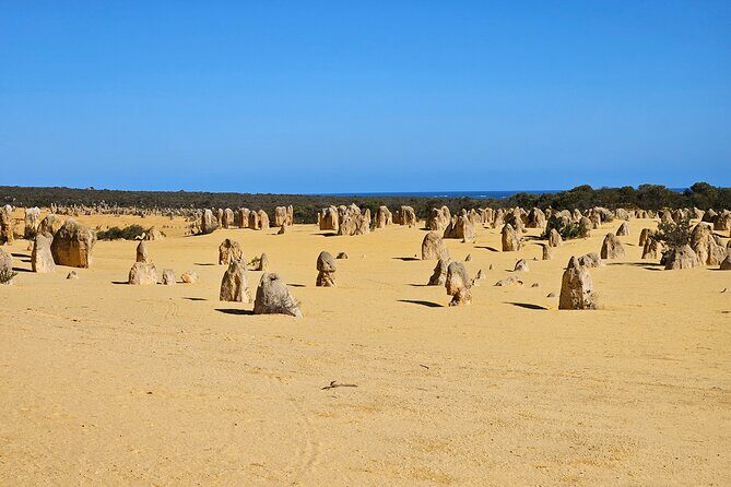 Pinnacle Day Adventure Tour - Discovering the Pinnacles: The Heart of the Tour