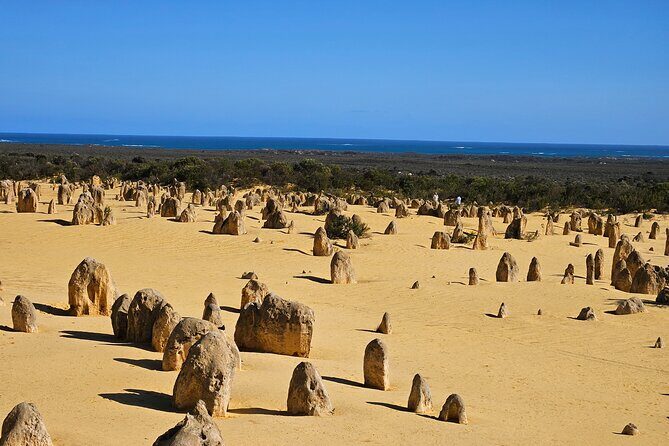 Pinnacle Day Adventure Tour - Sand Dunes and a Touch of Action in Lancelin