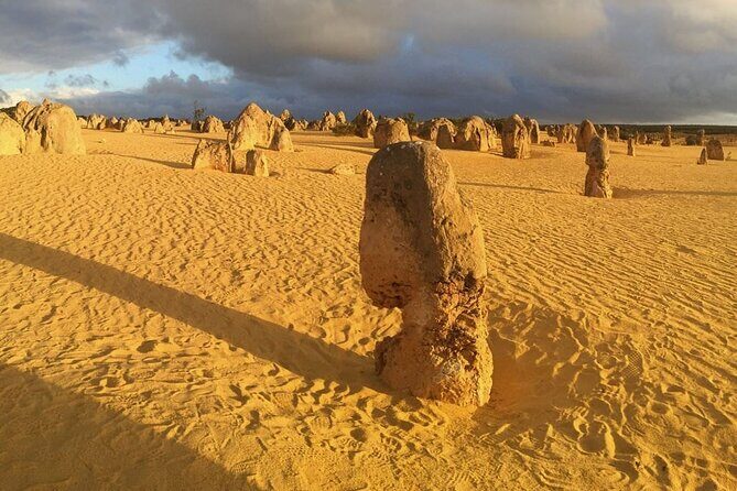 Pinnacles and Swan Valley Day Tour - A Detailed Look at the Pinnacles and Swan Valley Day Tour