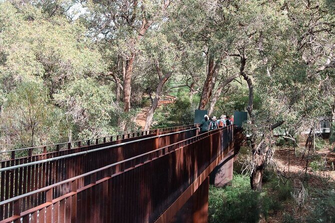 Pinnacles Desert, Koalas and Sandboarding 4WD Day Tour from Perth - Who Should Consider This Tour?