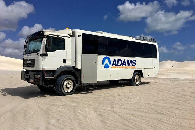 Pinnacles Desert, Koalas and Sandboarding 4WD Day Tour from Perth - The Sum Up