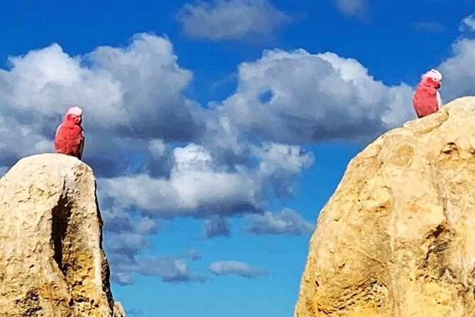 Pinnacles Desert Private Day Tour - Frequently Asked Questions