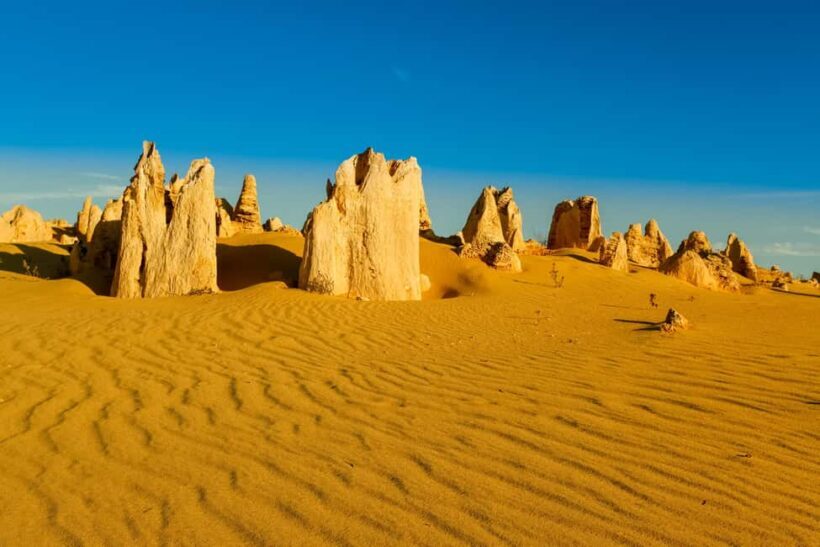 Pinnacles Desert Private Tour - Introduction