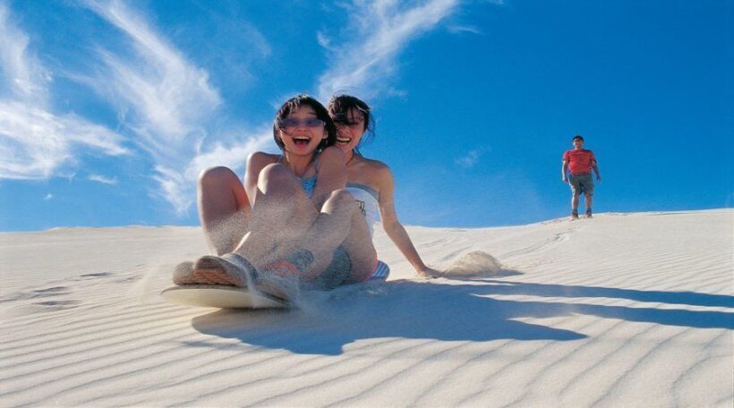 Pinnacles, Koalas & Sandboarding Tour Day Trip from Perth - Authentic Experiences and Traveler Feedback