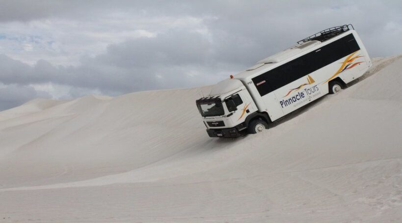 Pinnacles, Koalas & Sandboarding Tour Day Trip from Perth - Who This Tour Is Best For